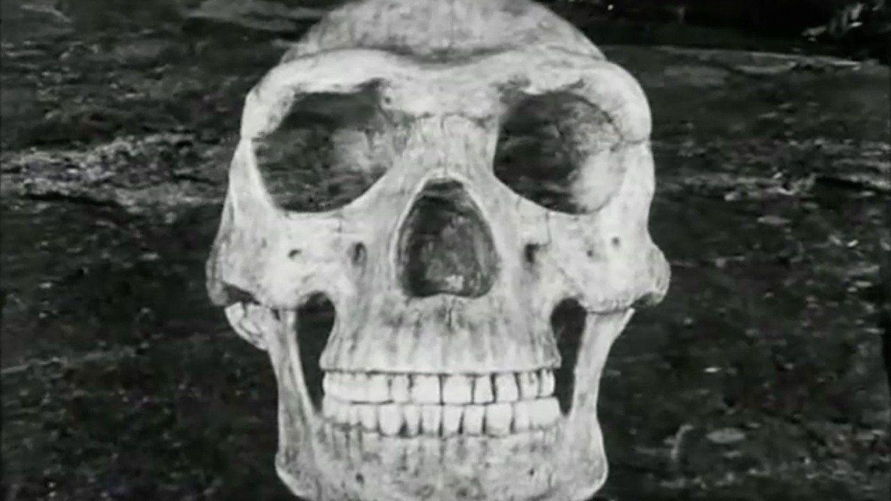 White Flood (1940) | MUBI