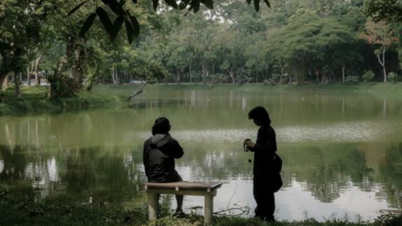 Golden Land Fantasy (2023) | MUBI