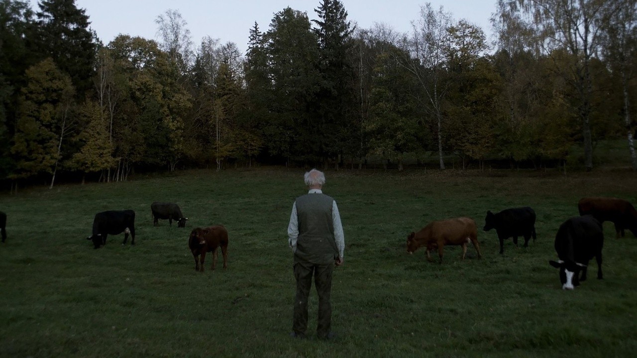 The Field (2023) | MUBI