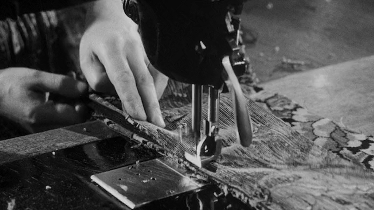 Elizabethan Express (1954) | MUBI