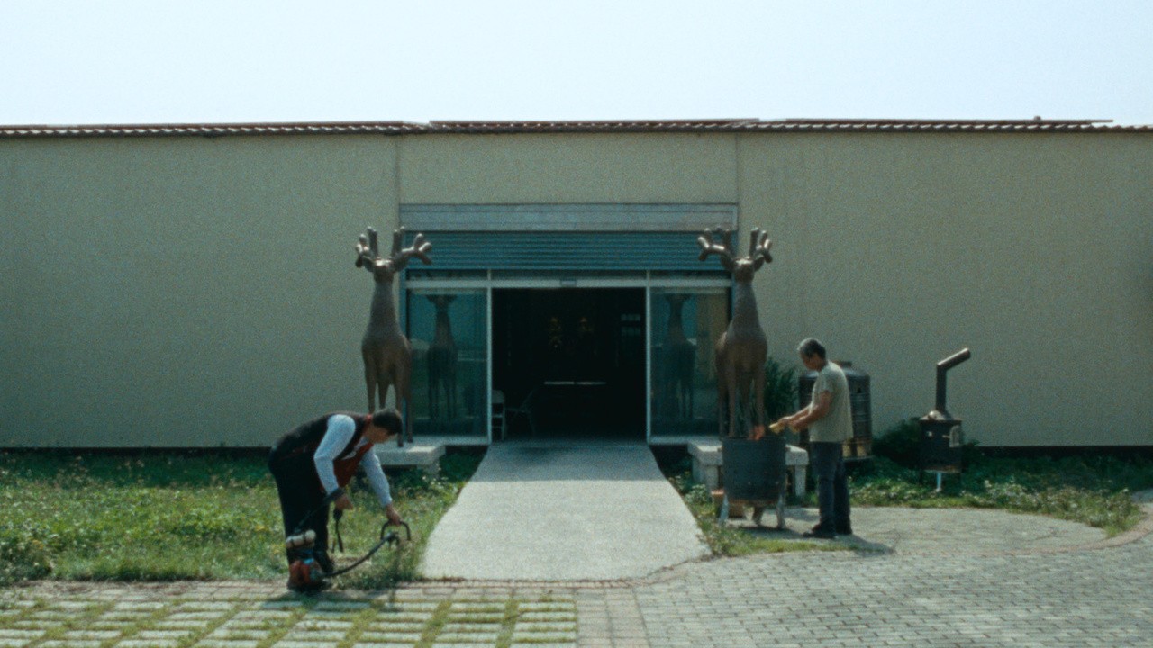 The Stag (2023) | MUBI