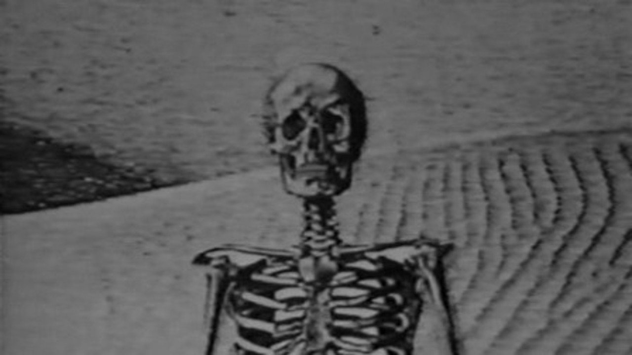 Lost Camel Intentions (1988) | MUBI