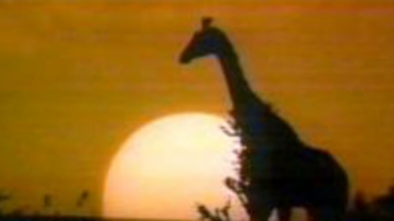 Simon James – Movies, Bio and Lists on MUBI