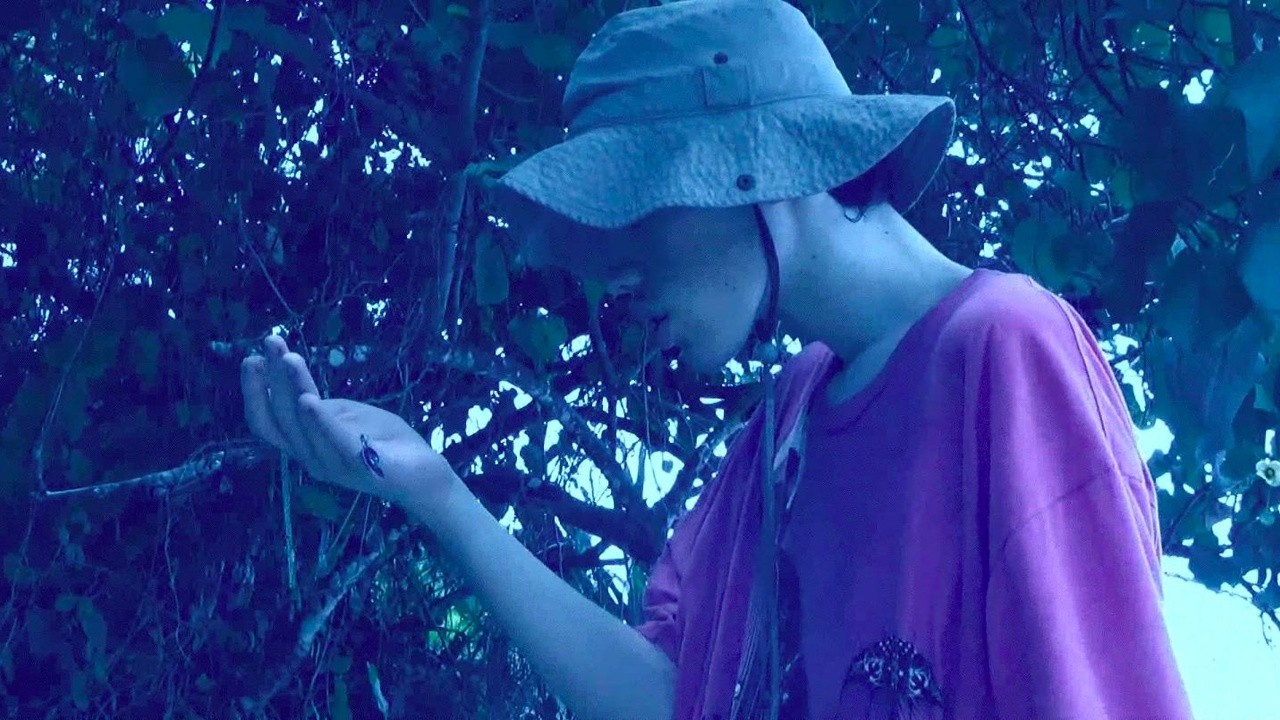 Paua on the Beach (2019) | MUBI