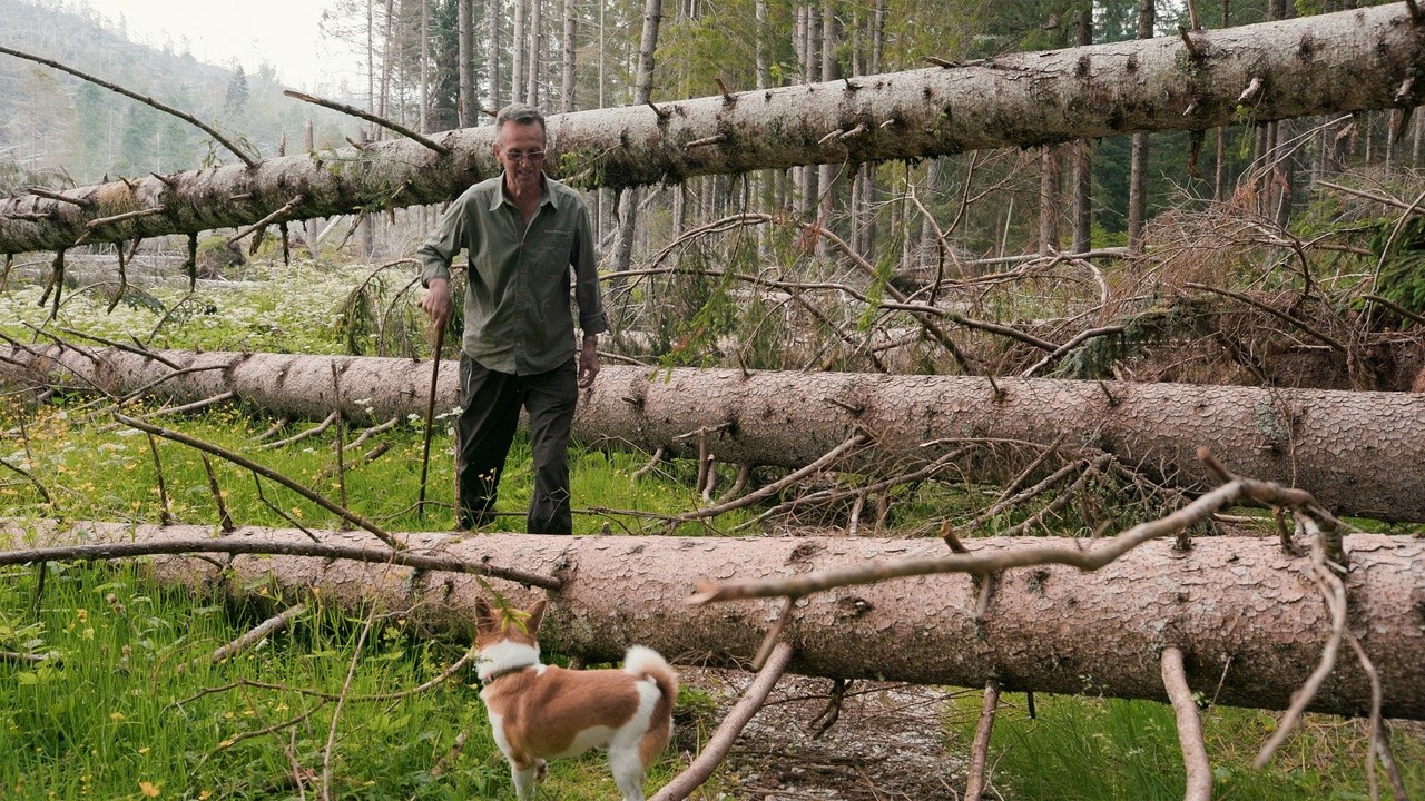Custodi (2023) | MUBI