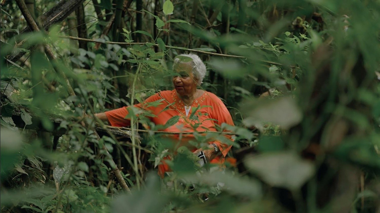 The President's Daughter & the Richest Freeborn Lady (2023) | MUBI