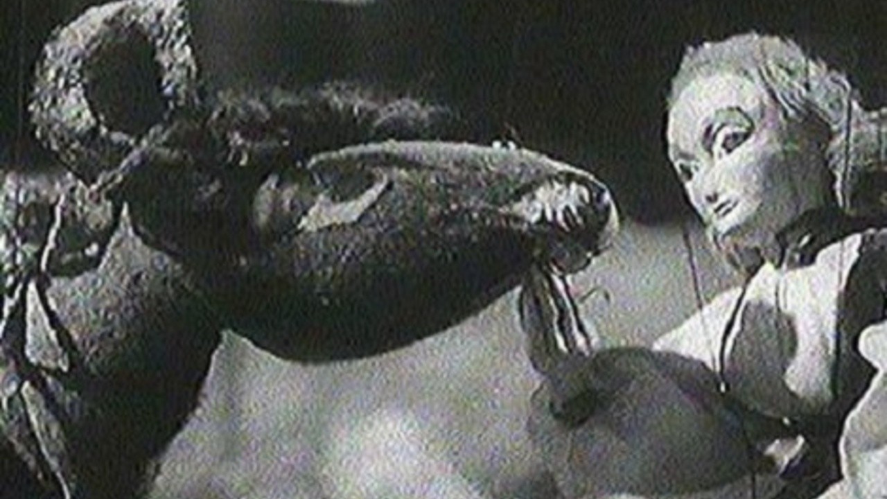 The Puppeteers (1952) | MUBI