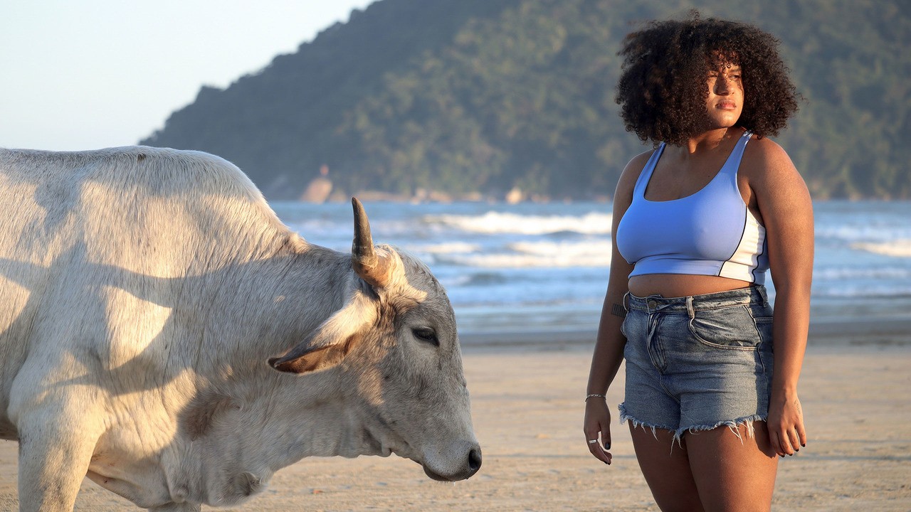 The Shell Covered Ox (2024) | MUBI