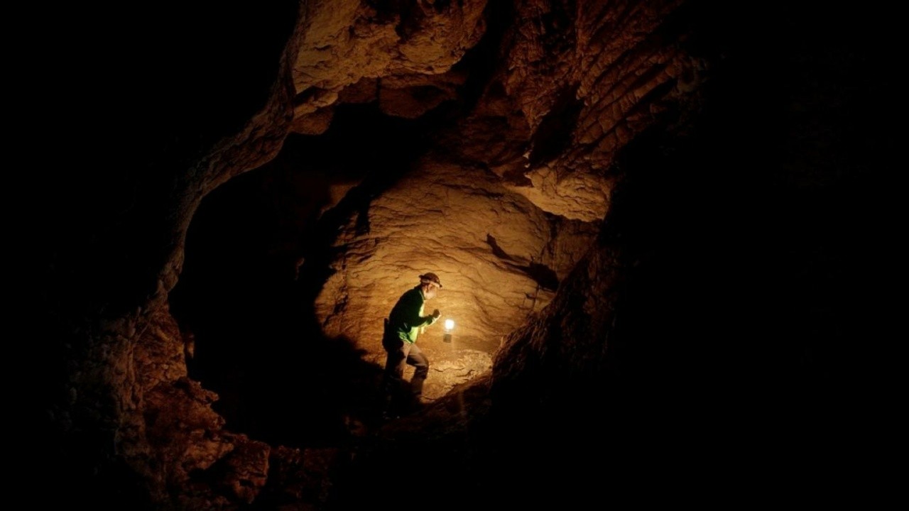 Here I Am, Again!!!! (2021) | MUBI