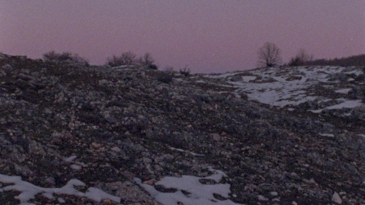 I Would Rather Be a Stone (2024) | MUBI
