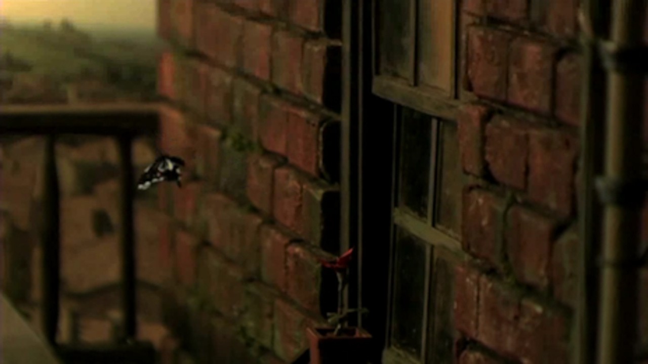 Indigo Road (2006) | MUBI