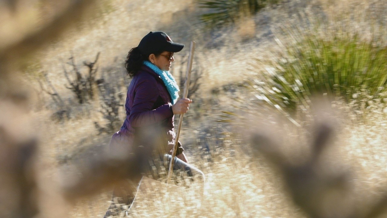 First We Bombed New Mexico (2023) | MUBI