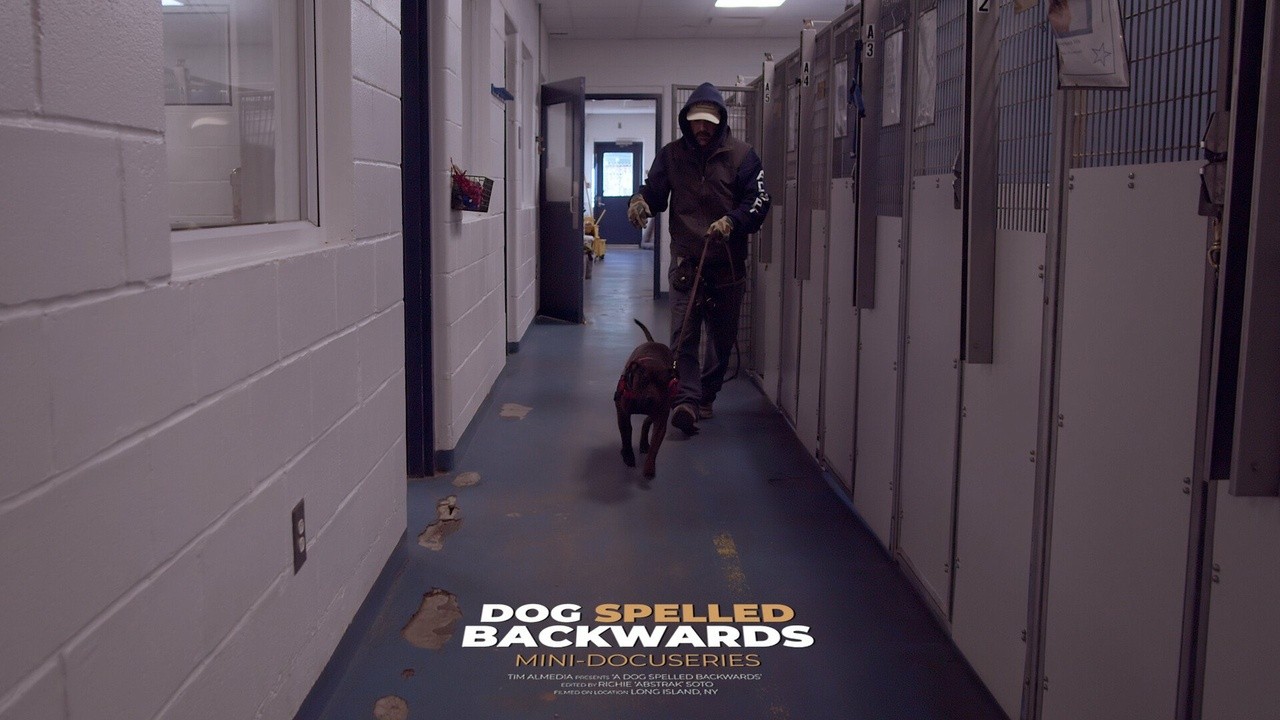 Dog Spelled Backwards (2024) | MUBI