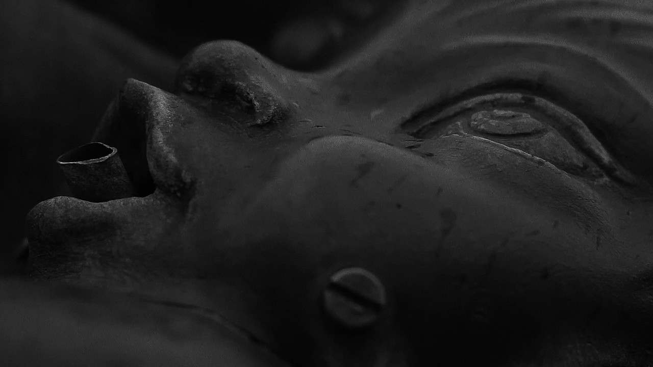 Still Lives (2016) | MUBI