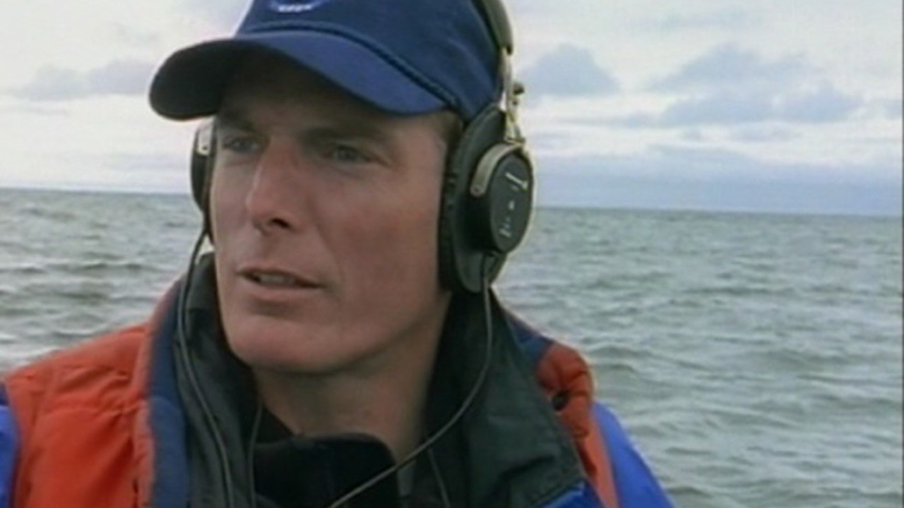 Gray Whales with Christopher Reeve (1995) | MUBI