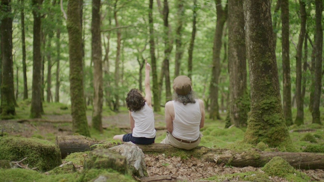 A Wild Life (2024) | MUBI