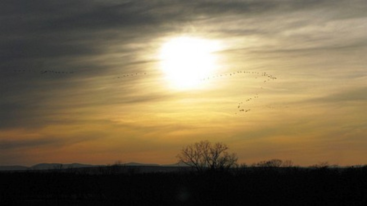 Rabbit Ears: The Legend of Sleepy Hollow (1988) | MUBI