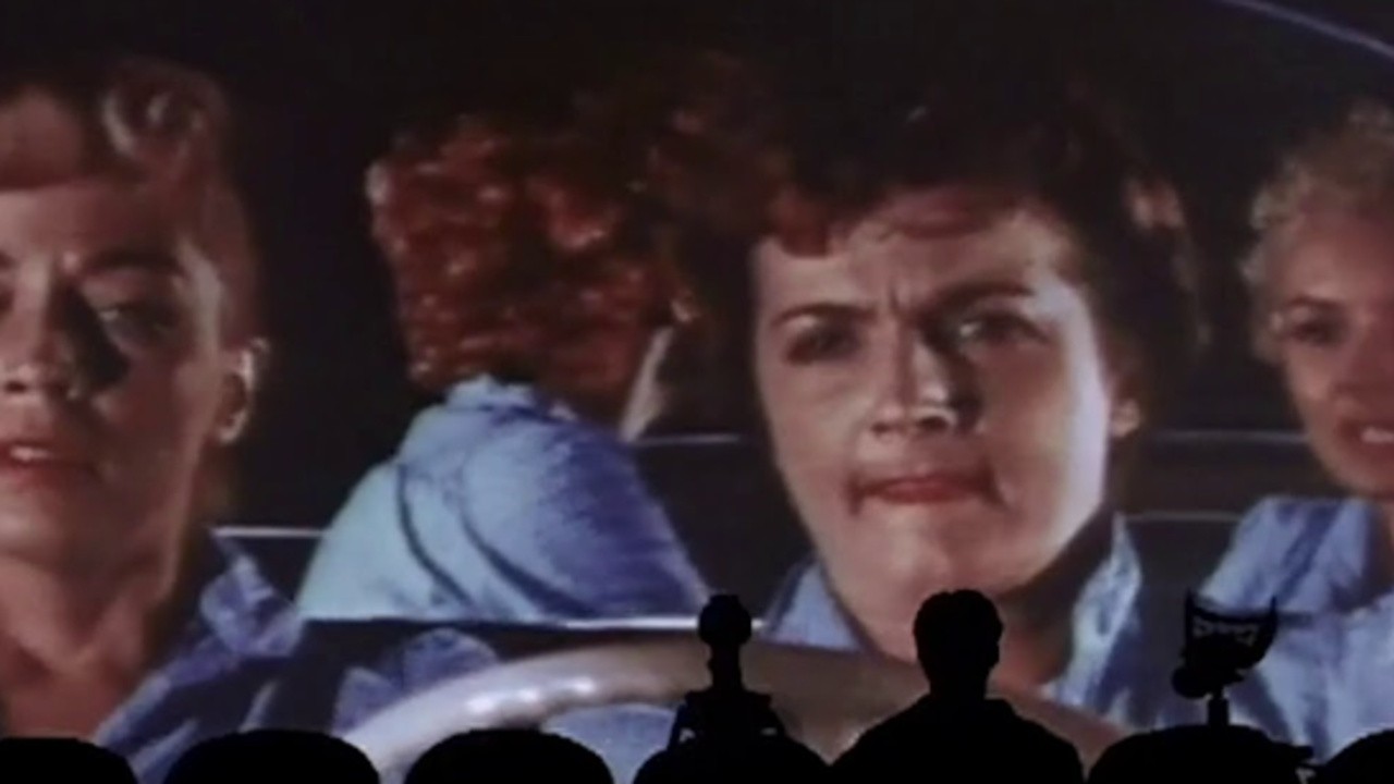 Mystery Science Theater 3000: Swamp Diamonds (1993) | MUBI