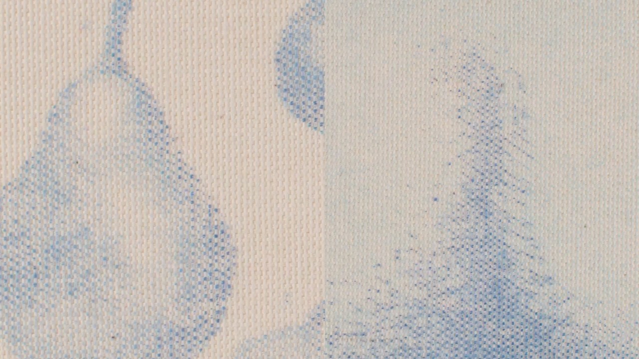 Body of a Shadow (2024) | MUBI