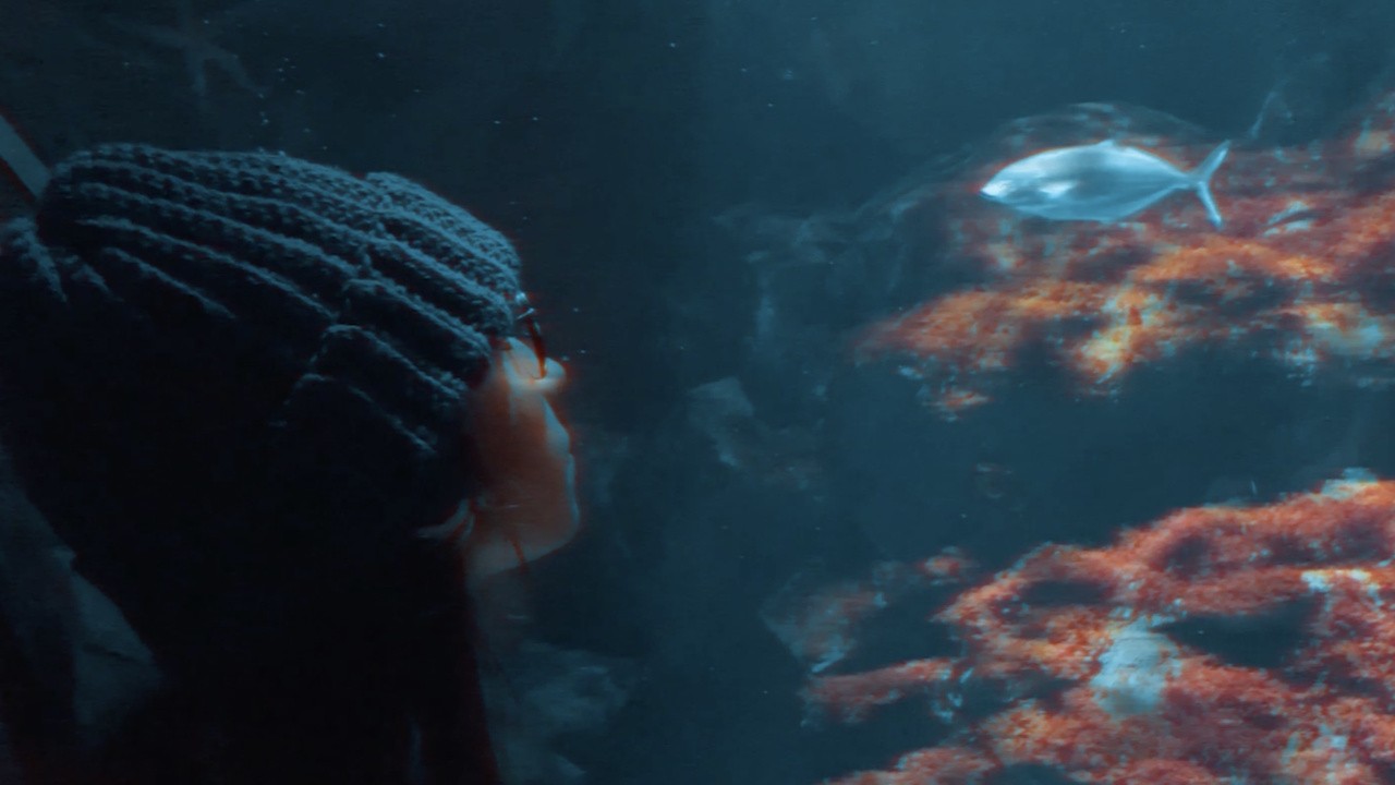 Protinus vive (2023) | MUBI