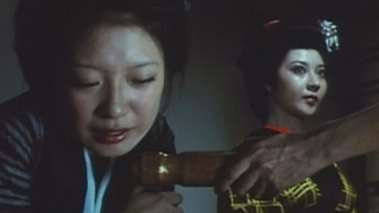 Secret Chronicle: Cruel Prostitute Hell (1973) | MUBI