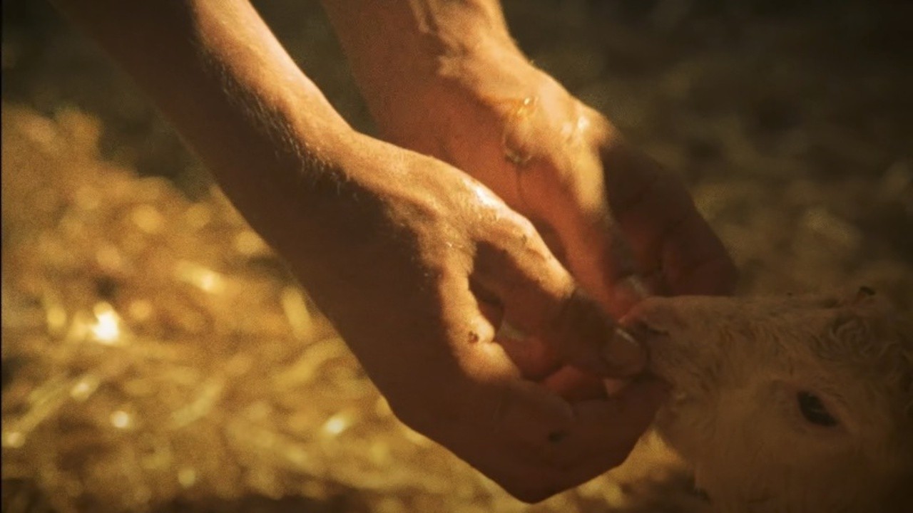 TRAILER - First Milk (2024)