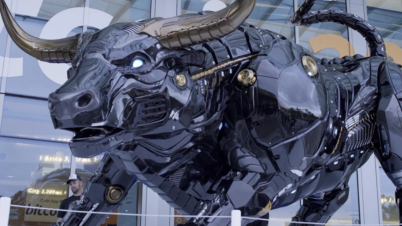 The Miami Bull Project (2023) | MUBI