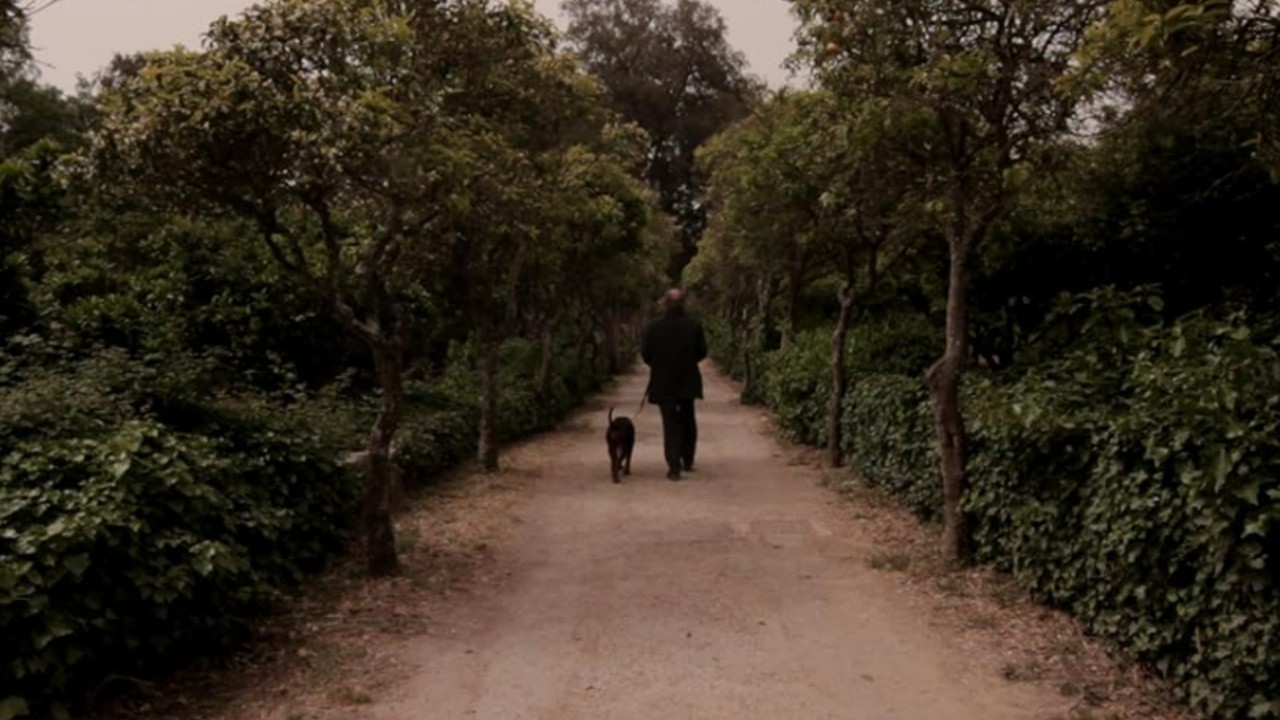 The Last Grain (2017) | MUBI