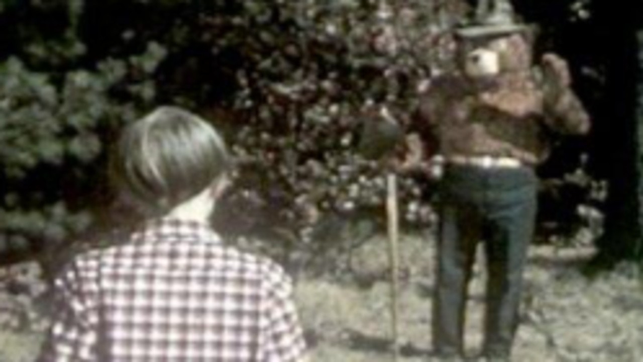 Vision in the Forest (1957) | MUBI