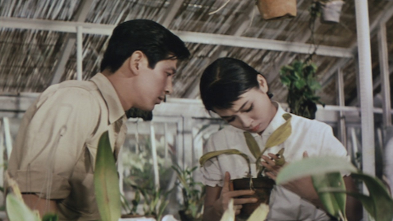 Beauty the Enemy (1959) | MUBI