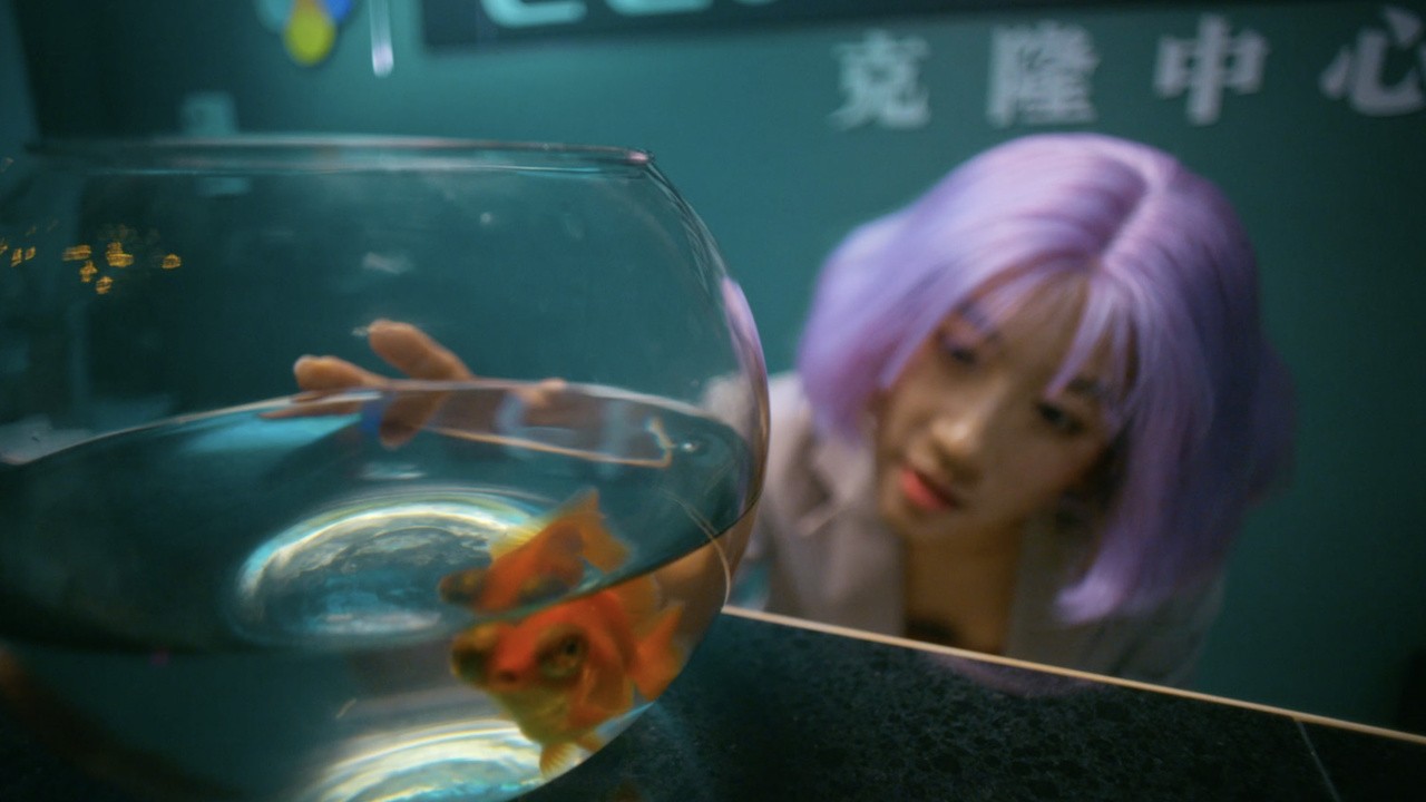 Daisy Is Gone (2024) | MUBI