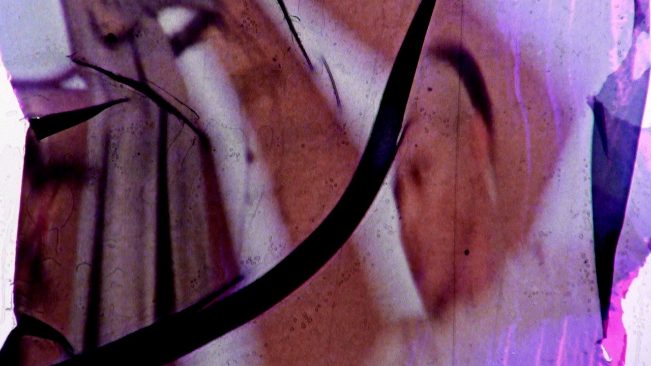 Lion in the Wind (2023) | MUBI