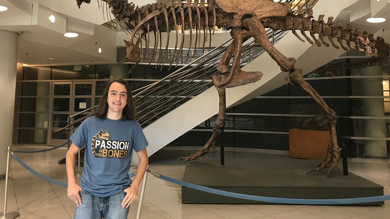 Why Dinosaurs? (2024) | MUBI