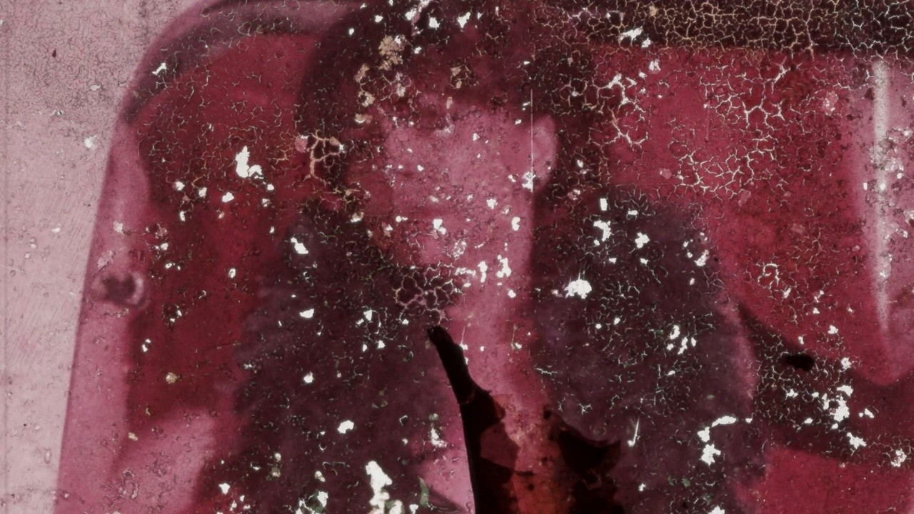 Decomp Disco (2024) | MUBI