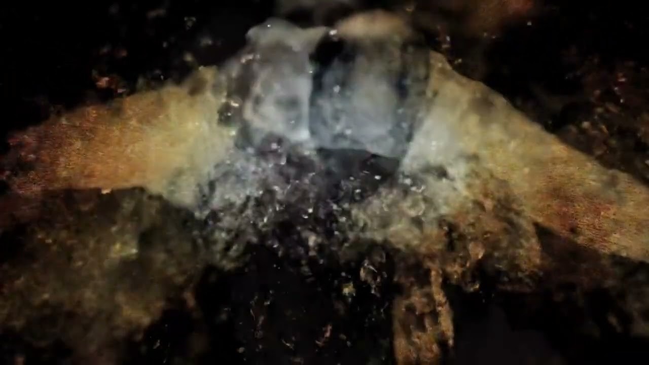 Misericorde (2024) | MUBI