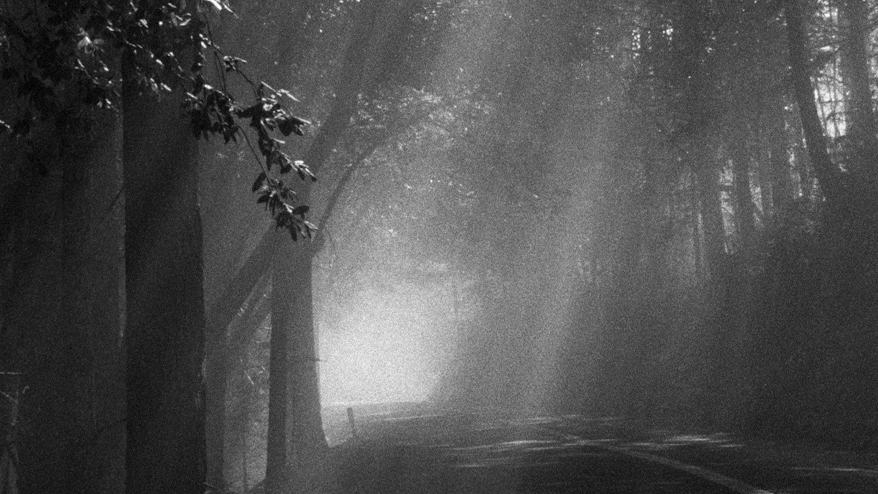 Sanctuary Station (2024) | MUBI