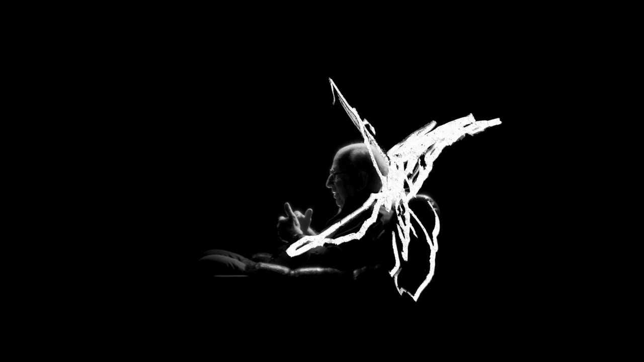 Scratches of Life: The Art of Pierre Hébert (2024) | MUBI