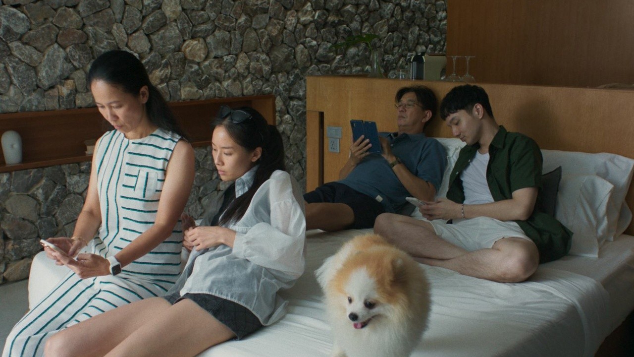 The Nature of Dogs (2024) | MUBI