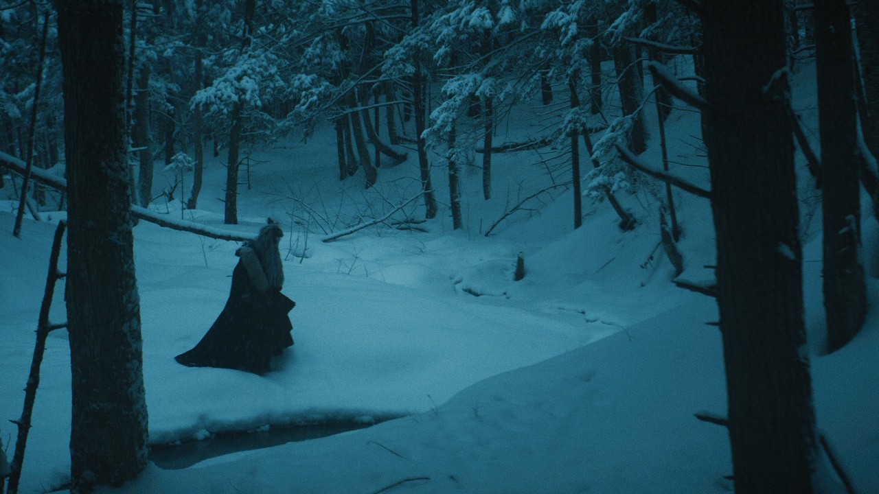 Vision (2024) | MUBI