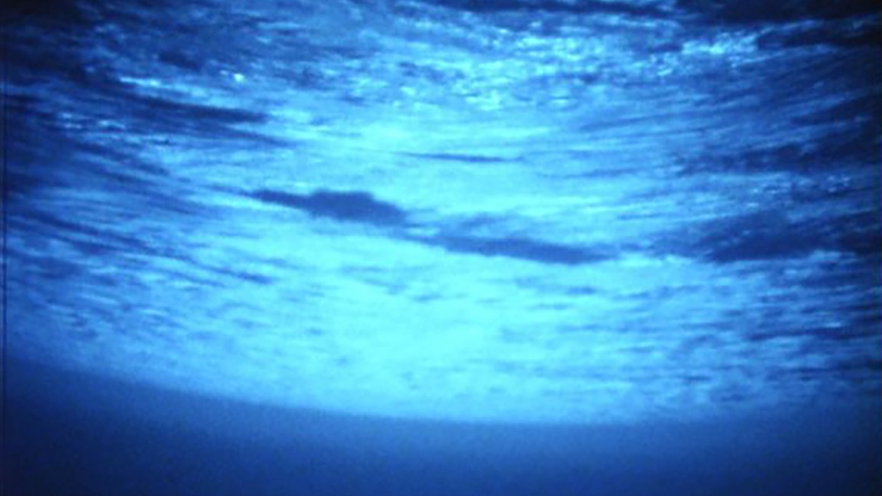 The Dark Room 2001 Mubi