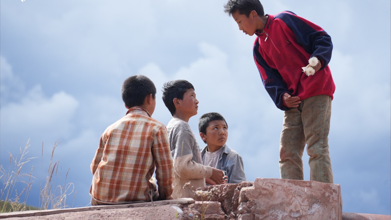 Dog Tashi (2024) | MUBI
