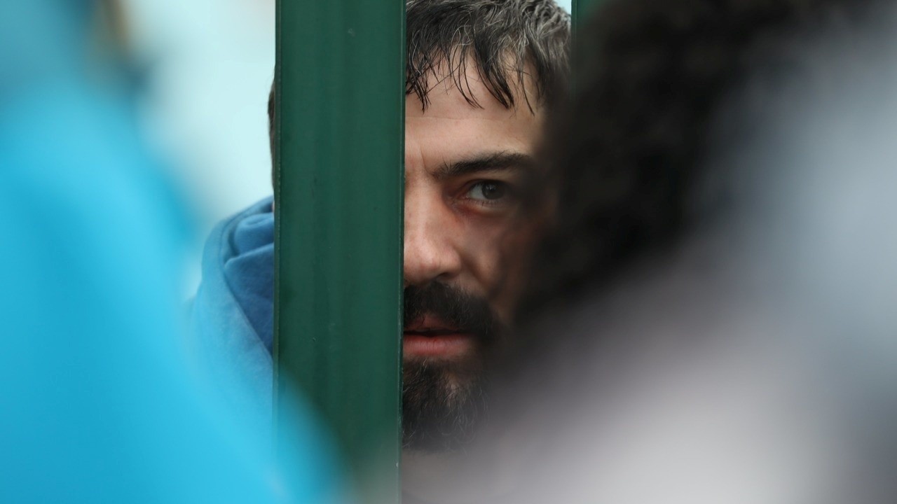 Amongst the Wolves (2024) | MUBI