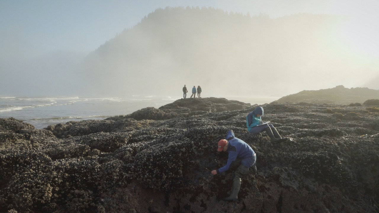 Just Above the Surface of the Earth (For a Coming Extinction) (2024) | MUBI