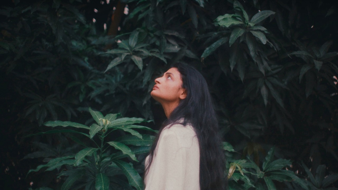 The Taste of Summer (2024) | MUBI