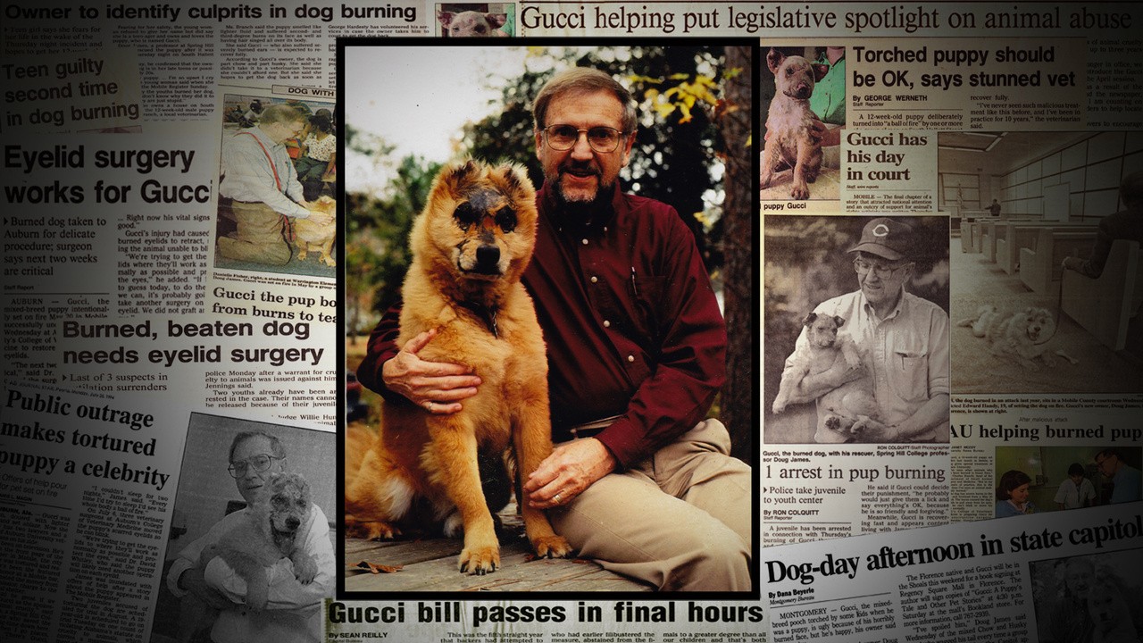 A Dog Named Gucci (2015) | MUBI