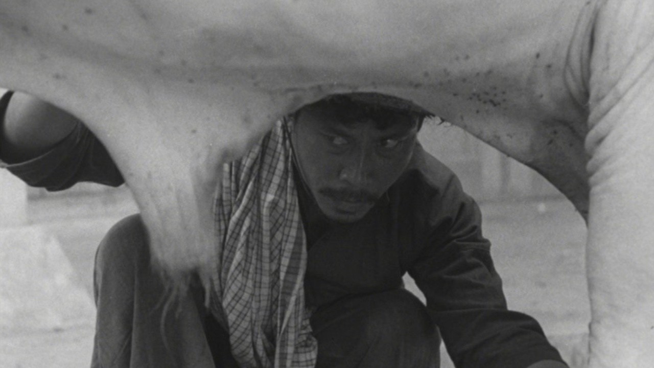 Turang (1957) | MUBI