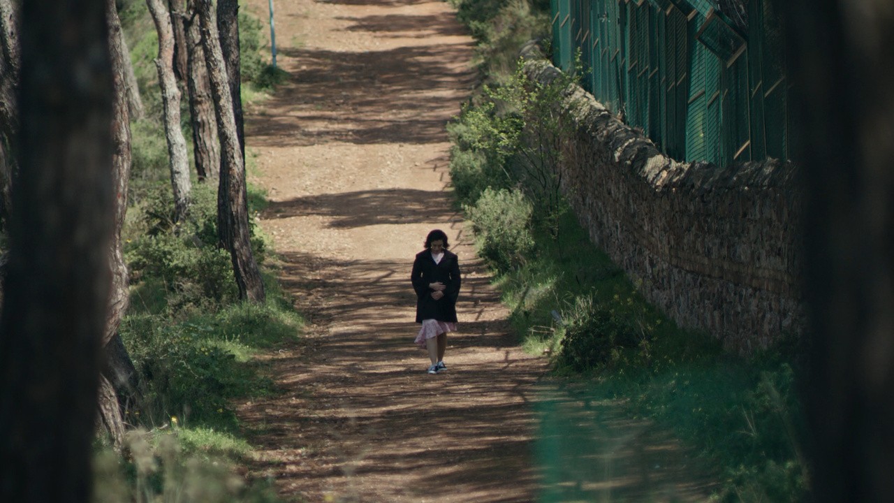 Trees I Remember (2024) | MUBI