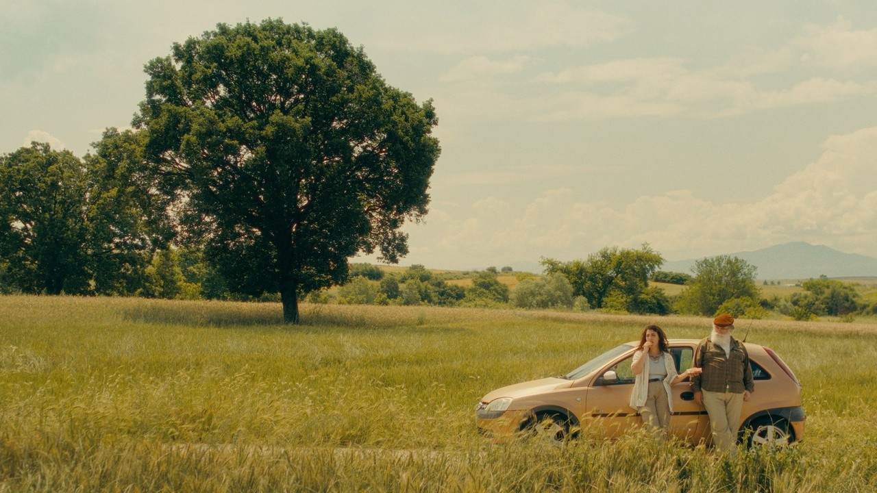 Driving Me Crazy (2024) | MUBI