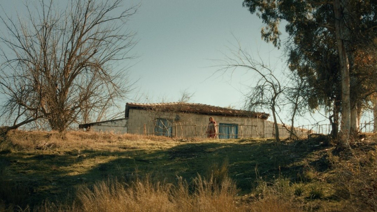 Wisdom of the Whale (2024) | MUBI