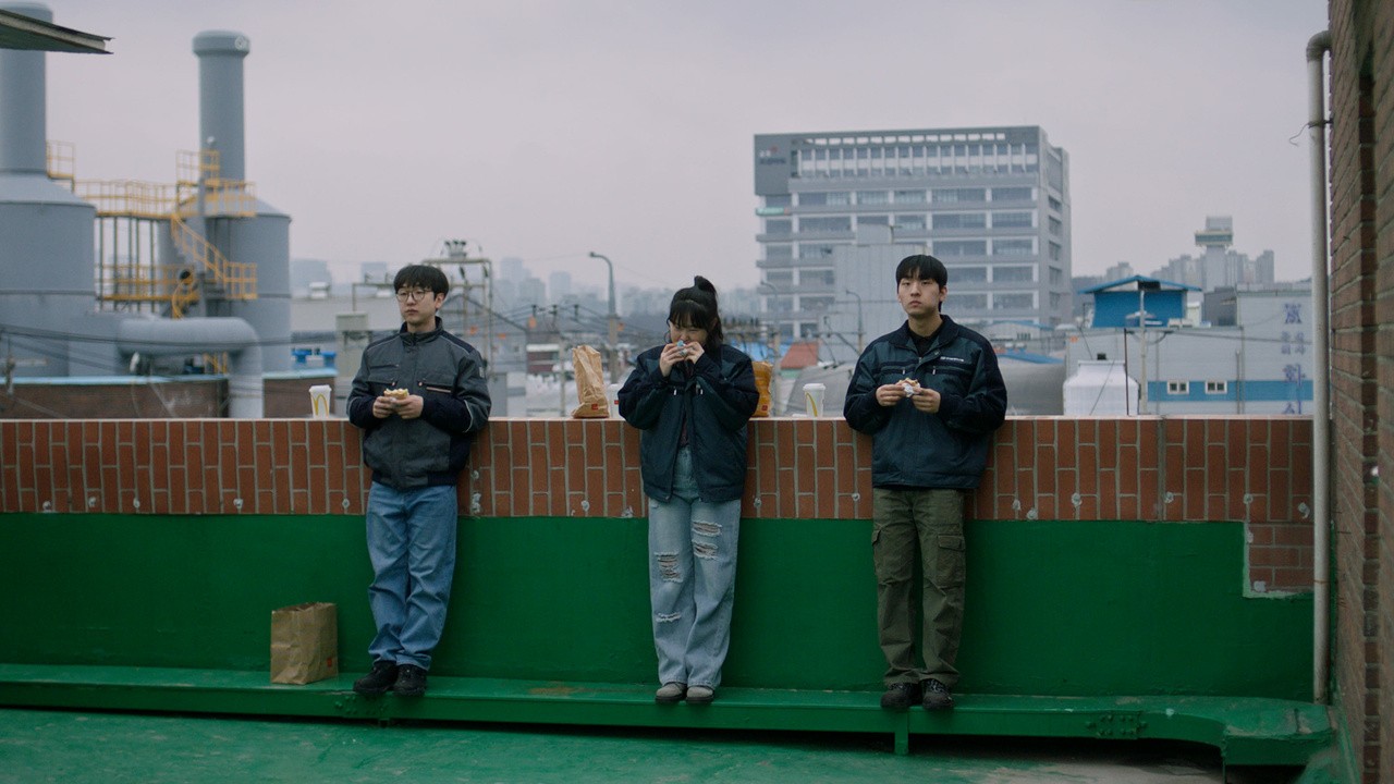 The Final Semester (2024) | MUBI